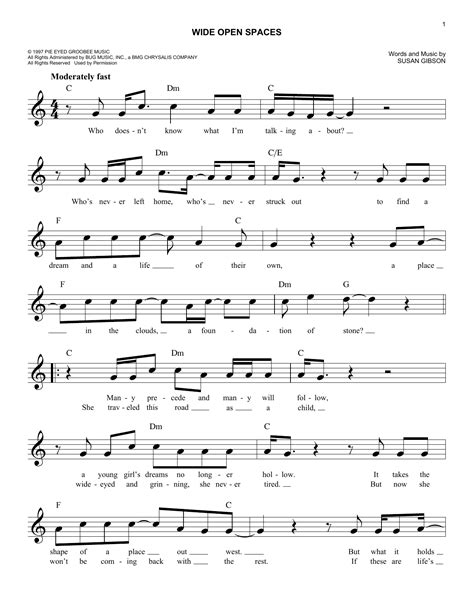 Dixie Chicks Wide Open Spaces