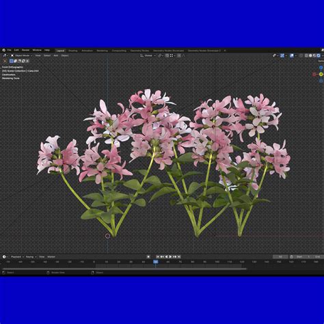 João Generoso Gorgeous Garden