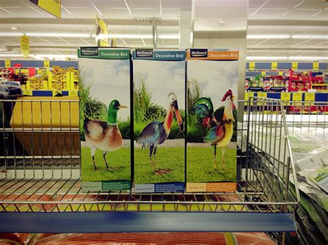 Lidl Bird In A Bird At Julius Scudder Blog