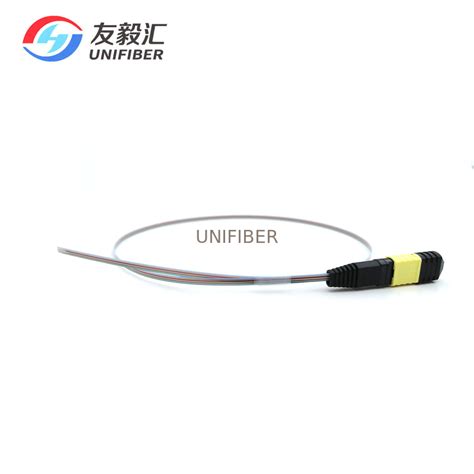 Singlemode 12 Core Mpo Ribbon Fiber Pigtail 05m Male Female