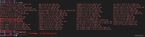 使用repotrack下载指定rpm包及其全量依赖包 Csdn博客