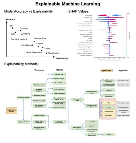 Explaining Black Box Machine Learning Models Diagram