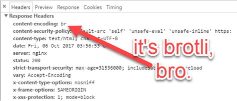 Brotli Compression In Performance Testing QAInsights
