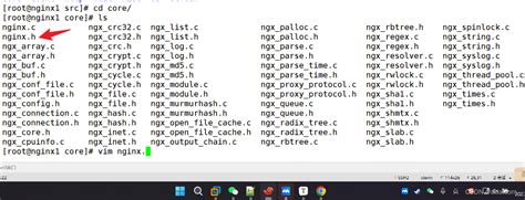 Nginx优化和防盗链nginx的防盗链记录保存到什么位置 Csdn博客 Nginx优化和防盗链nginx的防盗链记录保存到什么位置 Csdn博客