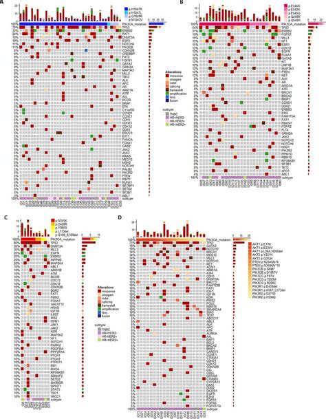 Circulating Tumor Dna Ctdna Gene Mutation Profiles For Mbc Patients