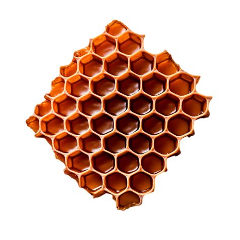 Closeup View Of Natural Honeycomb Structure With Hexagonal Cells 59367889 Png
