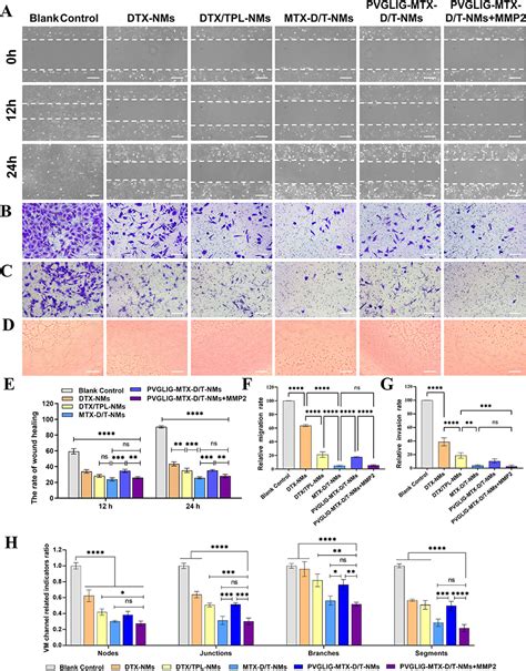 Sequential Targeting Of Tumor Microenvironment Responsive Nanomicelles Ijn