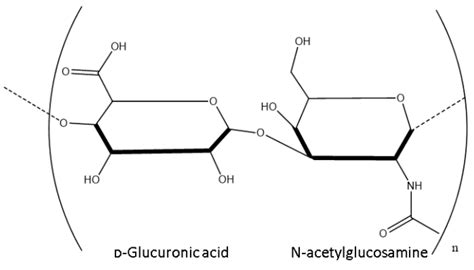 Hyaluronic Acid A Review Of The Drug Delivery Capabilities Of This Naturally Occurring