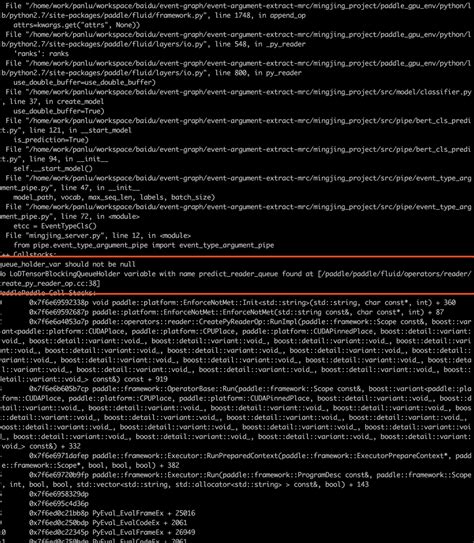 同一个进程启动两个模型报错，已加入scope · Issue 21591 · Paddlepaddlepaddle · Github