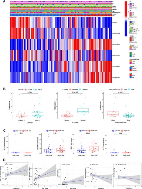 a heat map and box plot showing the relationship between risk scores
