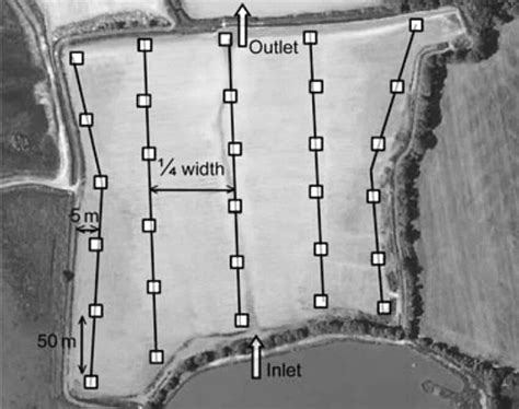 Illustration Of The Quadrat Method Sampling In A Pond Download