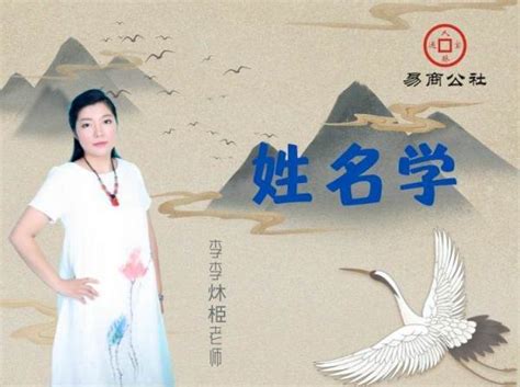 天下第一神数紫薇斗数命里学 入门篇零基础快速掌握命里推演 猫猫学院