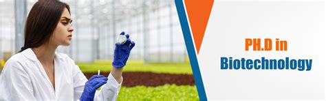 Phd In Bioinformaticsbiotechnology Admission 2025 Apply Now