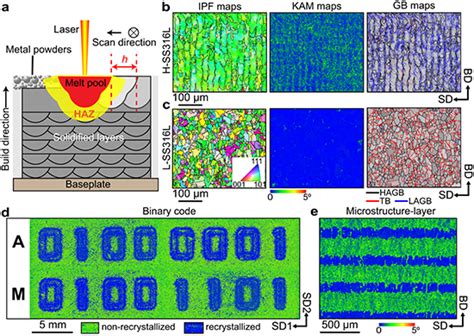 Advancing Metal Additive Manufacturing Engineering Microstructures For