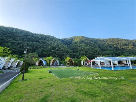 서울 근교 경기도 양평 글램핑 캠핑장 수영장 계곡 있는 디파트글램핑 애견동반 글램핑장 네이버 블로그