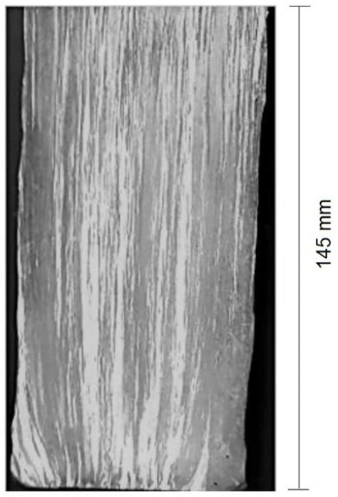 Directionally Solidified Macrostructure Of Hypoeutectic Al 1 0 Wt Fe Download Scientific