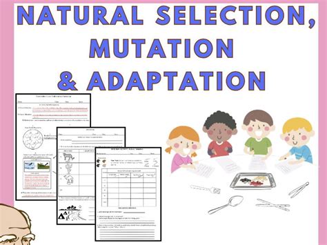 Natural Selection Mutation And Adaptation Multiple Activity Lesson Teaching Resources