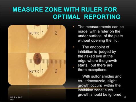 Antimicrobial Assay Pptx