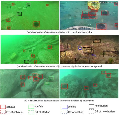Visualisation Of Some Object Detection Results Of Our Method On