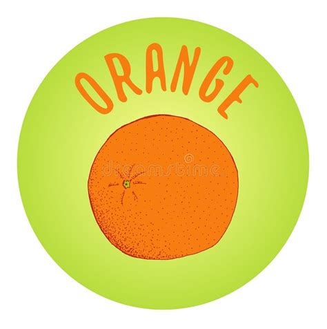 Orange Sketch Vector Illustration Stock Vector Illustration Of Eating Circle 55420364