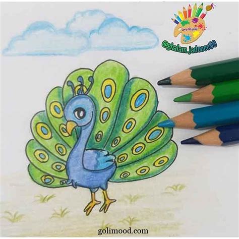 نقاشی طاووس کودکانه 2024؛ طرح‌ها ساده و آسون خوشگله که می‌تونی به راحتی