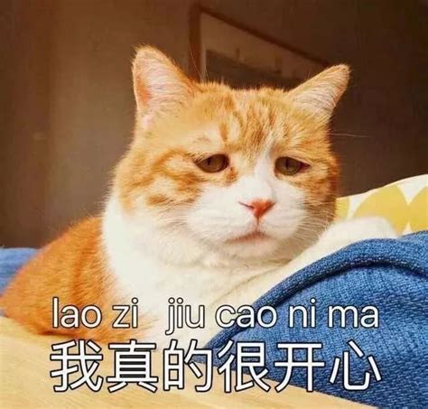 那些四处借钱随份子的90后，后来都怎么样了？
