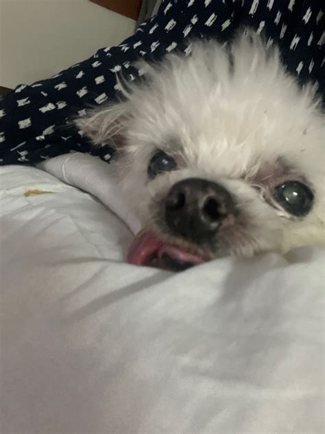 울티메이트 잘가 안녕
