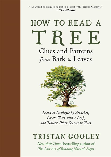 How To Read A Tree The Experiment