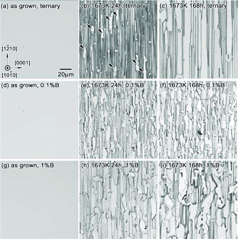 Variations In The Microstructure With Annealing Period In The A C
