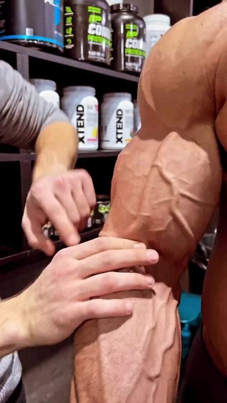 Post Muscle Eroticism Tumblr Tumbex