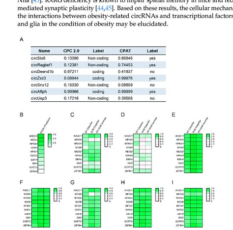 Characterization Of Circrnas A The Protein Coding Potential Of Download Scientific Diagram