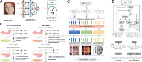 Pnas速递：多模态图像transformer系统精准估计生物学年龄及预测疾病 智源社区