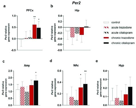 mrna levels of per2 in the pfcx a hip b amy c nac d and hyp
