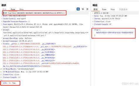 Apache 远程代码执行 （cve 2021 42013）apache 远程代码执行 Cve 2021 42013 Csdn博客