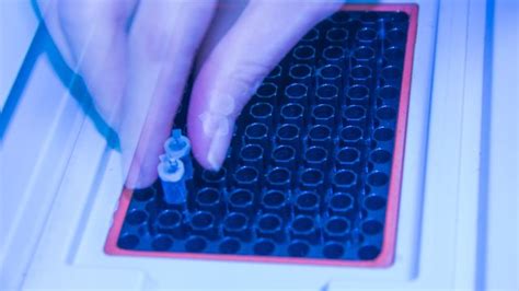 Rapid Virus Detection Using Enhanced Bioluminescence Sensor Technology Networks