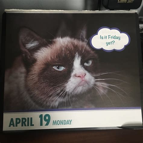Grumpy Cat Good Imgur