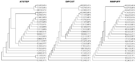 Taxonomic Trees Corresponding To The Simulation Codes Integrated In