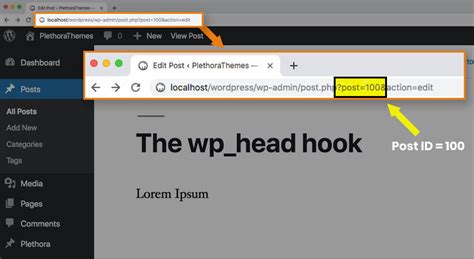 How To Add JavaScript Or JQuery To WordPress Tutorial Plethora Themes