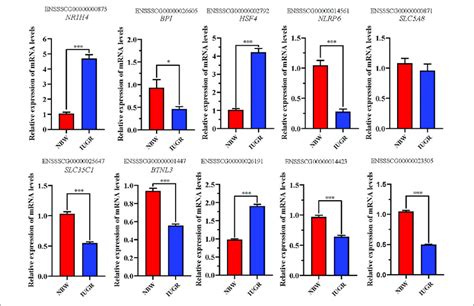 Reverse Transcriptase Quantitative Polymerase Chain Reaction