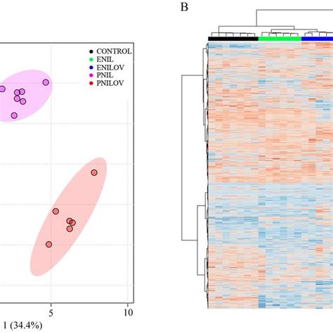 Proteome Composition In The Liver A Pca Score Plot B Proteome Download Scientific Diagram
