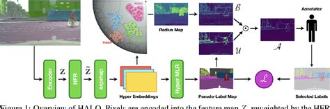 Hyperbolic Active Learning For Semantic Segmentation Under Domain Shift Paper And Code Catalyzex