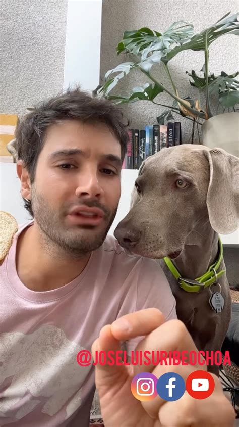 Mi Guardian🐶 De La Piscina 😭 Sus 🐶 Si Los Salvan By Jose Luis Uribe Ochoa
