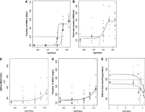 In Vivo Toxicity Of TiO2 NPs In C57BL 6N Mice Effects Induced 24 H Download Scientific Diagram