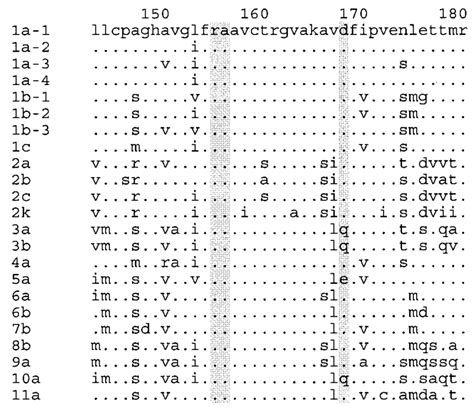 Amino Acid Sequence Alignment Of Hcv Genotypes And Subtypes The Download Scientific Diagram