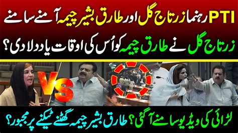 Zartaj Gul Vs Tariq Bashir Cheema What Happened Na Session Today Youtube