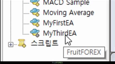 폴더와 파일 메타트레이더 자동매매시스템 Ea개발 및 Mql프로그래밍 강좌강의 Fx마진 Mt4 시스템 트레이딩