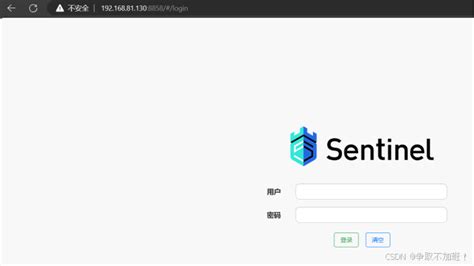 使用docker部署sentinel Sentinel Docker Csdn博客