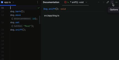 Viewing Inline Documentation Webstorm Documentation
