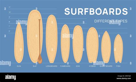 Cartoon Surfboard Types Wooden Boards Water Sports Different Sizes And Shapes Extreme Hobby