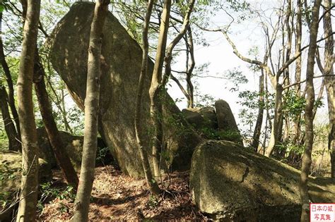三雲城 郭2 日本の城写真集